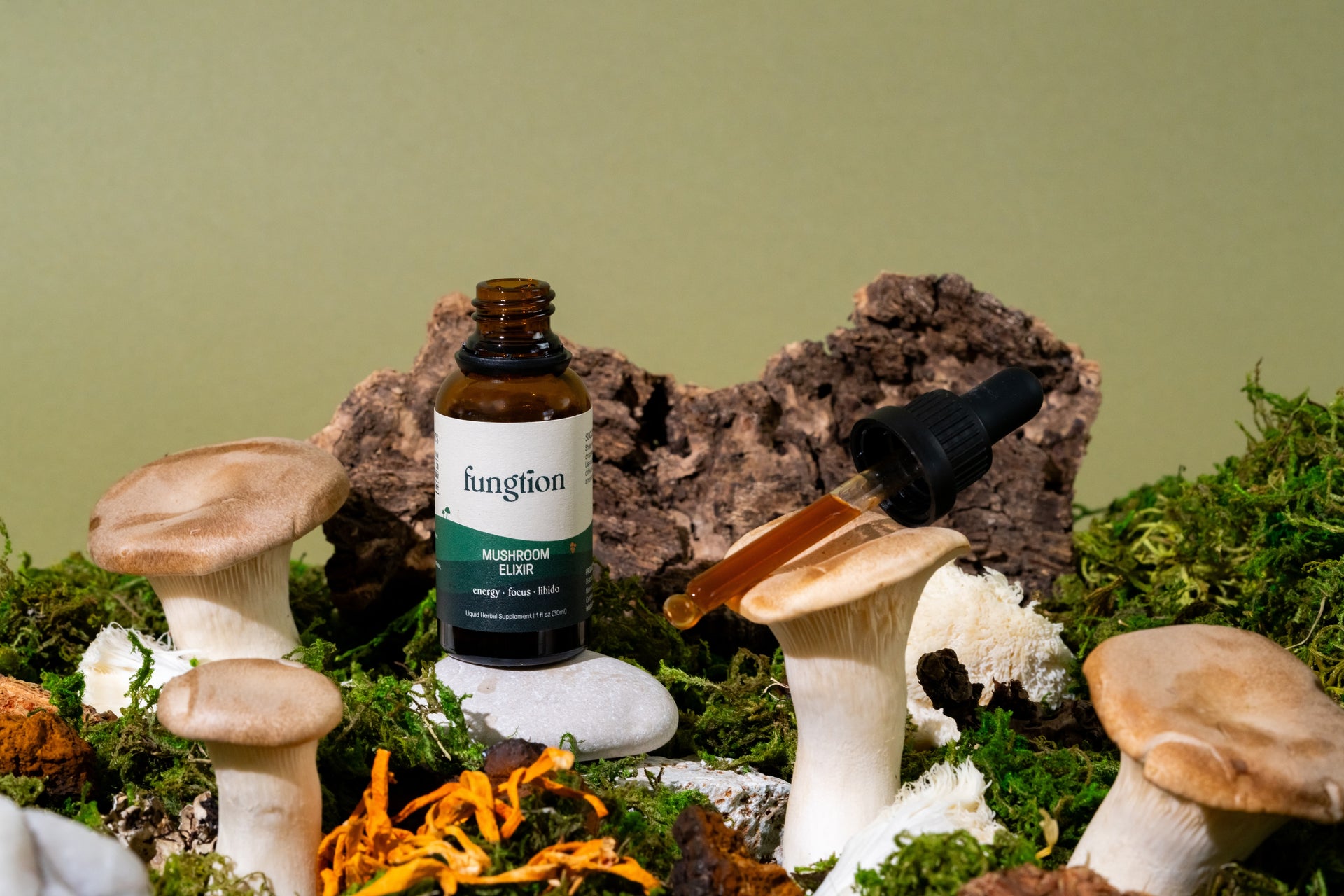 Fungtion | Functional Mushroom Formulas – fungtion