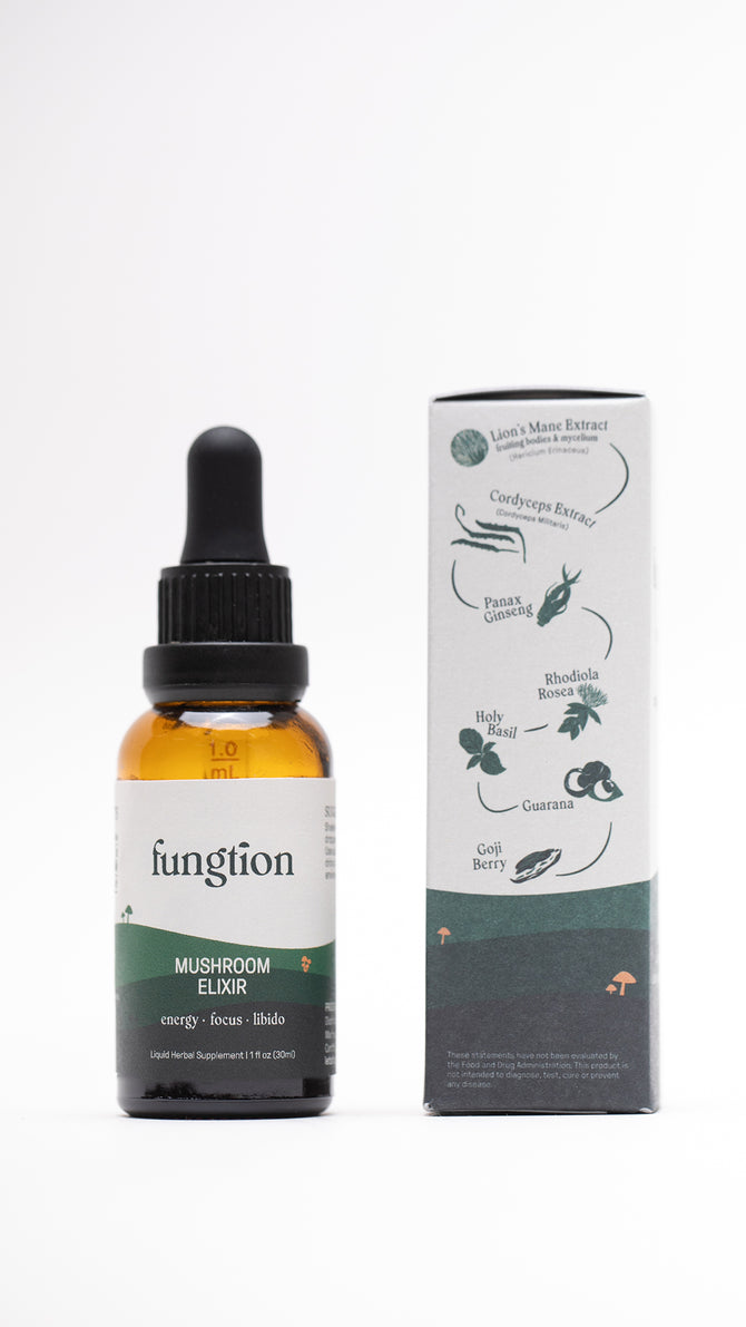 Fungtion | Functional Mushroom Formulas – fungtion